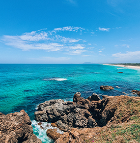 Resort Report – May 2026 | Club WyndhamClub Wyndham