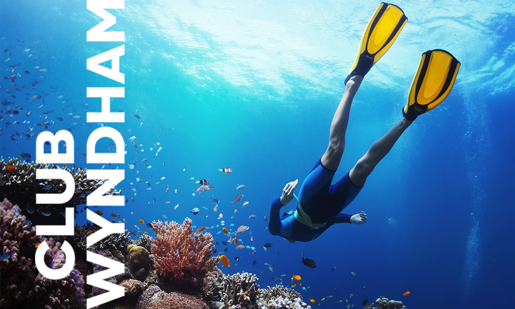 International property update | Club WyndhamClub Wyndham